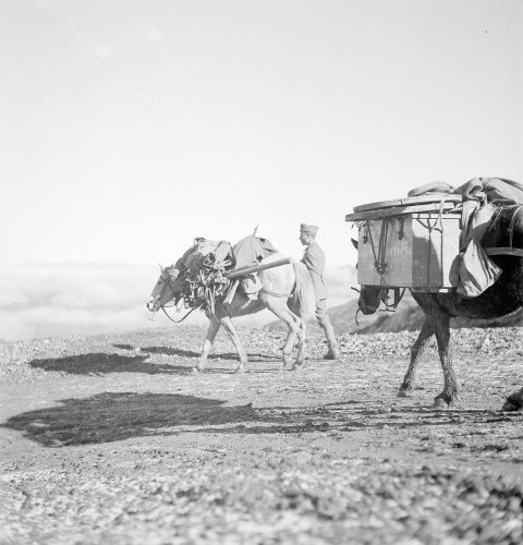 Επιστράτευση, Αθήνα, 1940 - Μουσείο Μπενάκη
