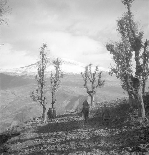 Ανοικοδόμησις της Ελλάδος - Θέματα εποχής 1949-1950 - Λήψεις δια ...