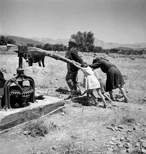 Ελλάδα, 1950-1955 - Μουσείο Μπενάκη