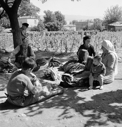 Ελλάδα, 1950-1955 - Μουσείο Μπενάκη