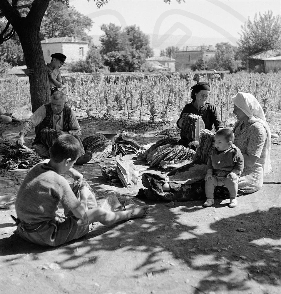 Ελλάδα, 1950-1955 - Μουσείο Μπενάκη