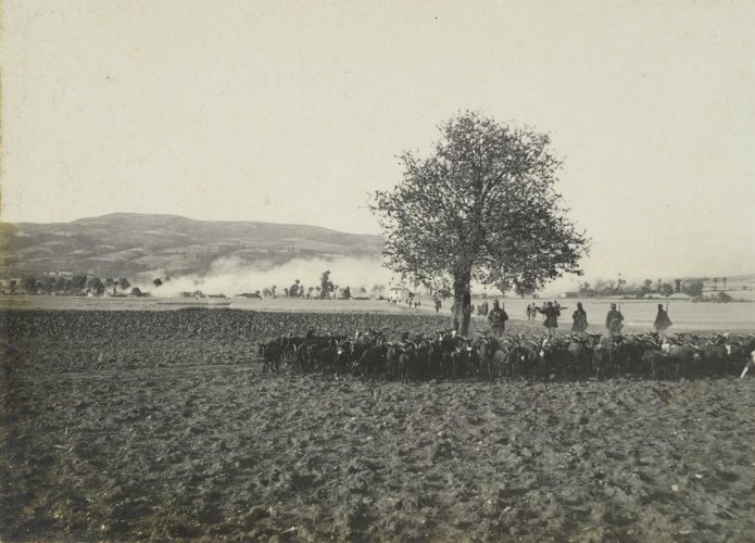 Βαλκανικοί πόλεμοι, 1912-1913 - Μουσείο Μπενάκη