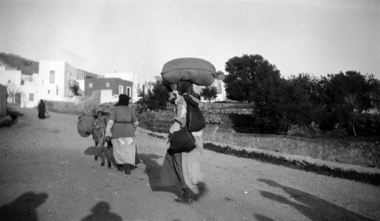 Ελλάδα, 1950-1955 - Μουσείο Μπενάκη