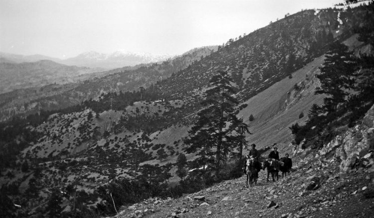 Αθήνα, 1940 - Μουσείο Μπενάκη